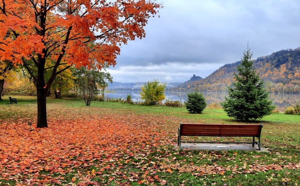 Giving later and now: Make an impact even before your legacy gift